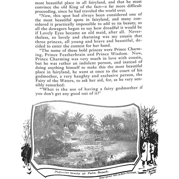 "The Fairy Princess And The Royal Poinciana: A True Fairy Tale" 1997