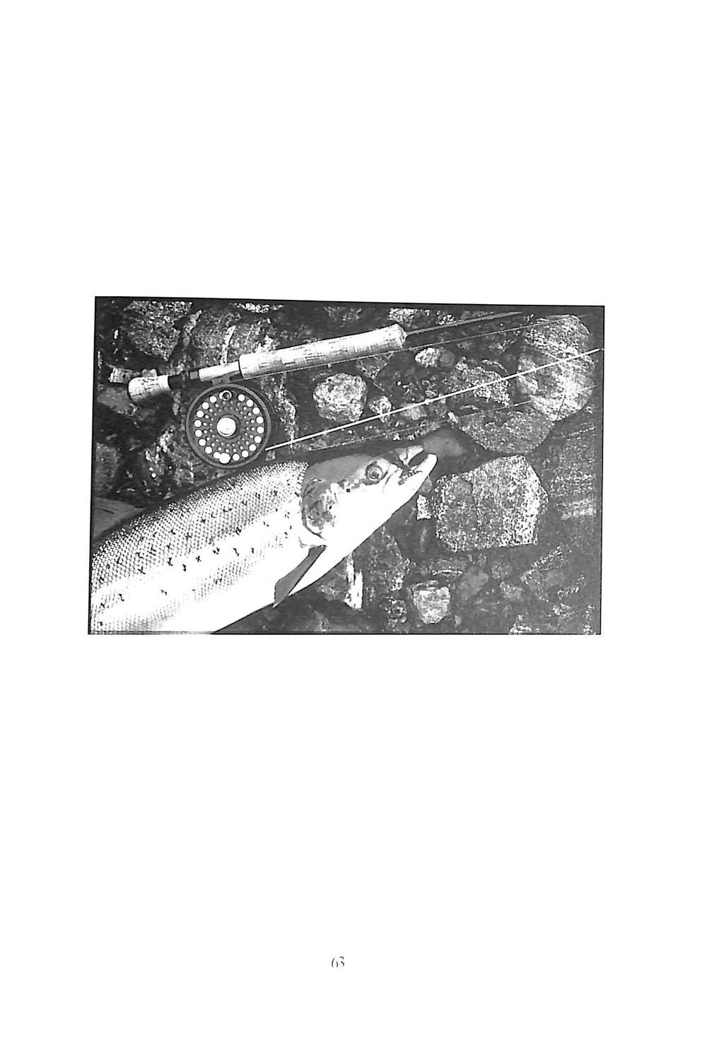 "Water Music: Of Salmon, Saabs And Spey Rods" 1999 SWANSON, David