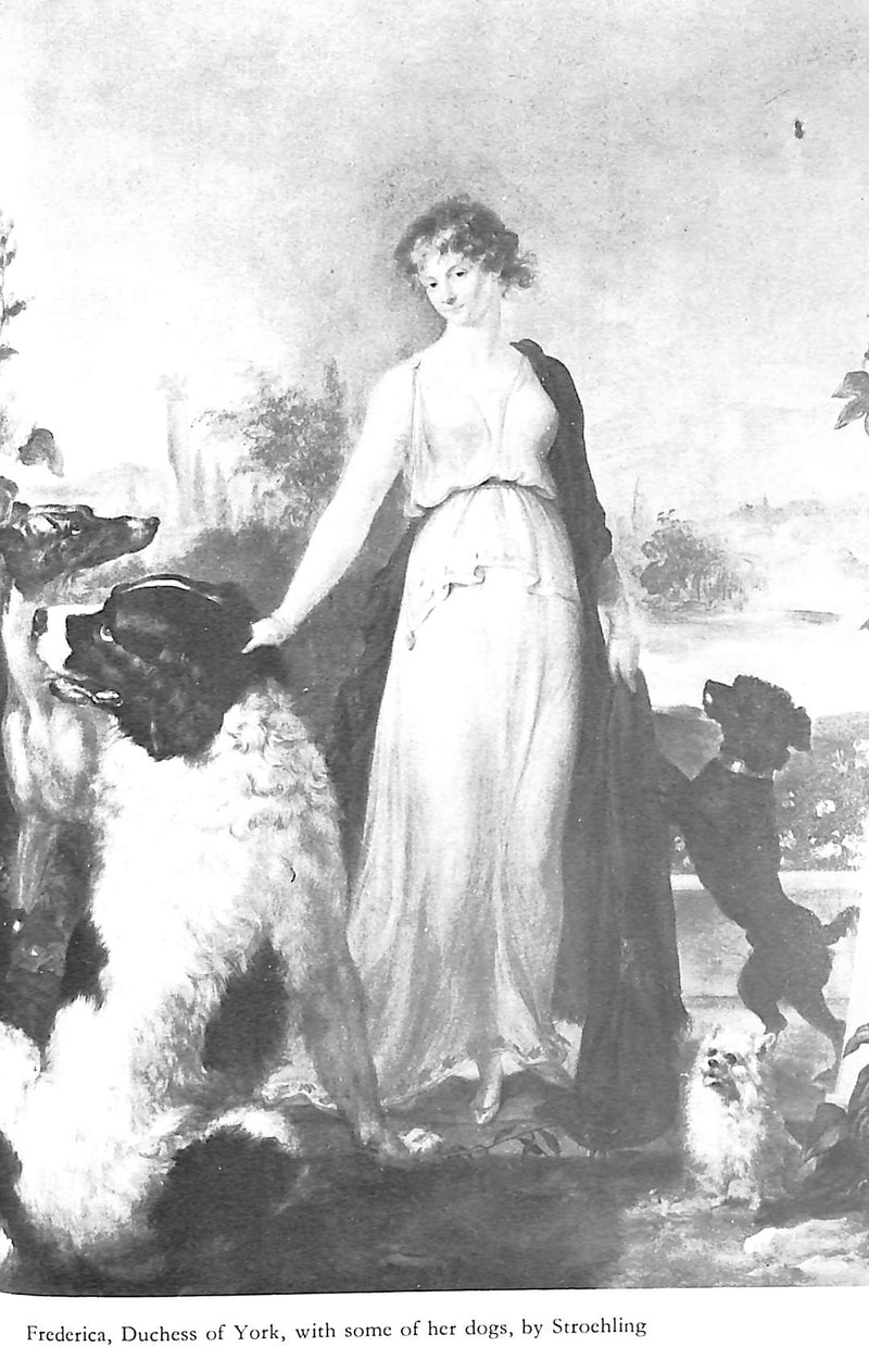 "Beau Brummell" 1977 COLE, Hubert