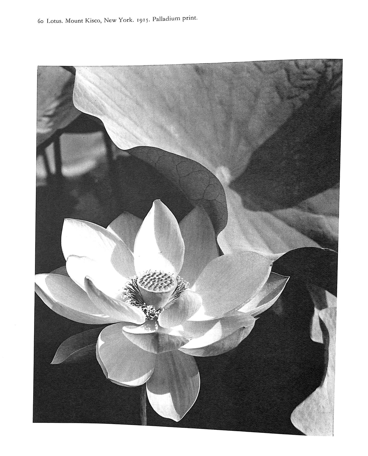 "A Life In Photography" 1963 STEICHEN, Edward