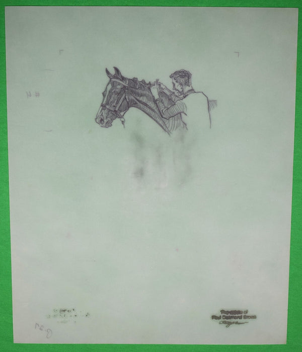 Paul Brown Polo Pencil On Acetate Drawing 13