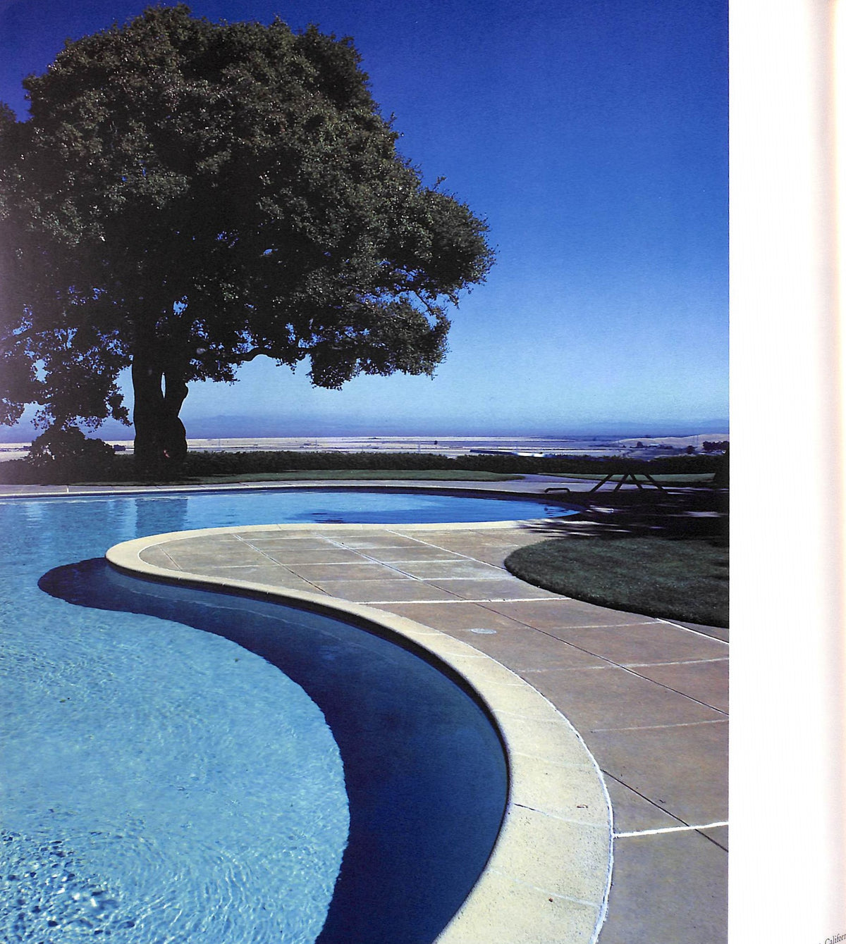 "Pools" 1992 KLEIN, Kelly