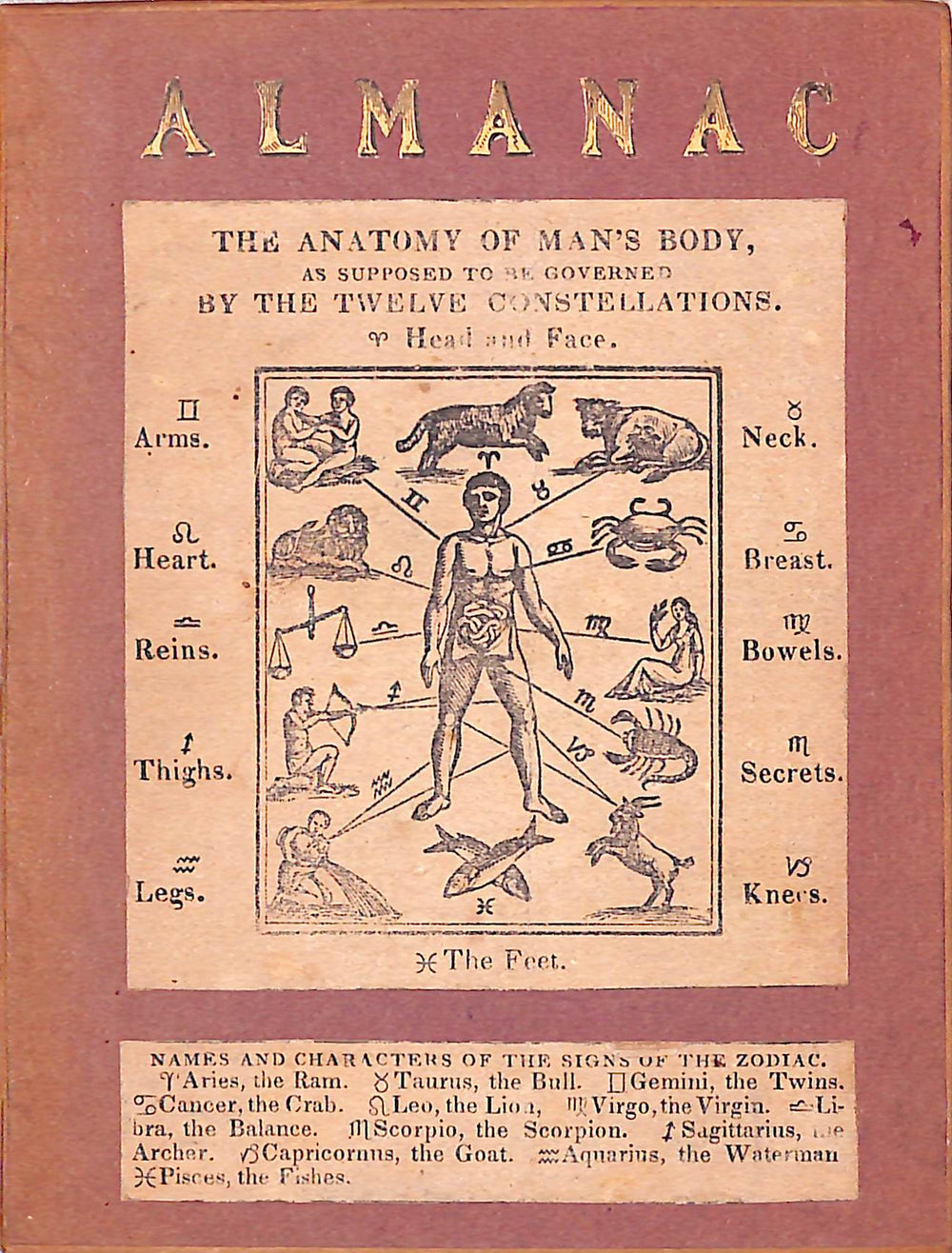 "Almanac; The Anatomy Of Man's Body" 1942 (SOLD)
