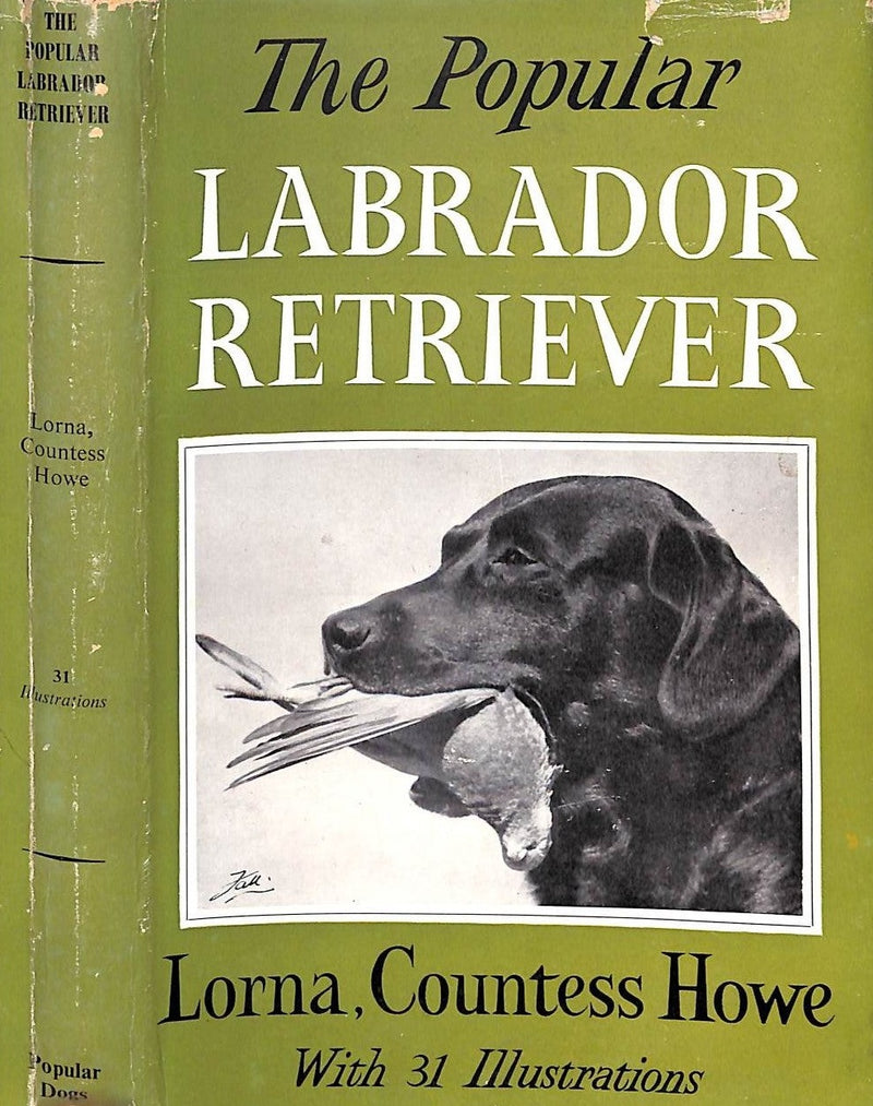 "The Popular Retriever" 1961 LORNA, Countess Howe