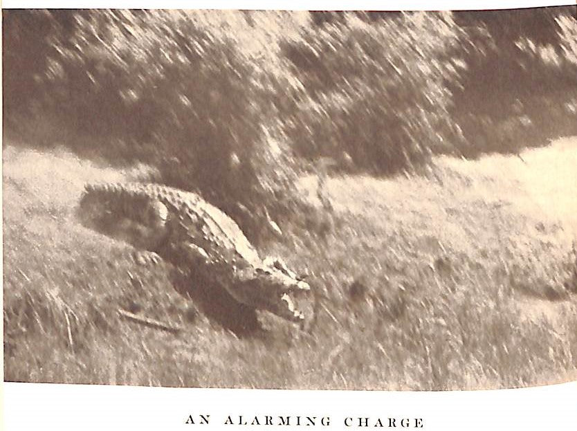 "African Hunter" 1938 VON BLIXEN-FINECKE, Baron Bror Fredrik