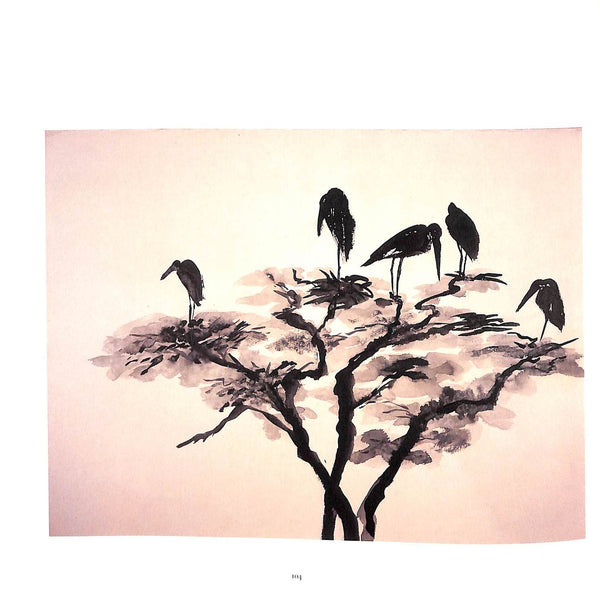 "Shadows Of Africa" 1992 MATTHIESSEN, Peter and FRANK, Mary (CO-SIGNED