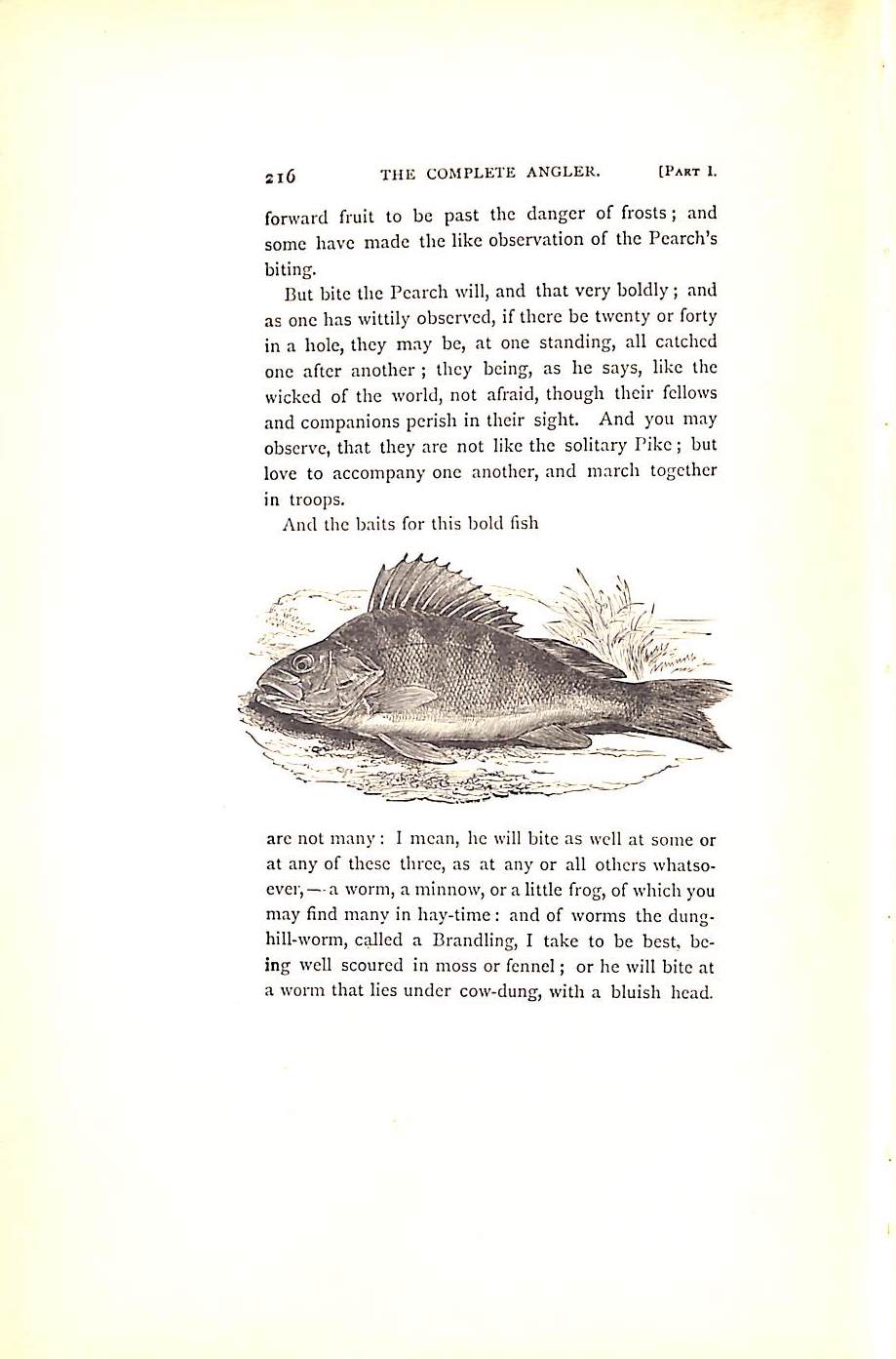 "The Complete Angler: Or The Contemplative Man's Recreation" 1925 WALT