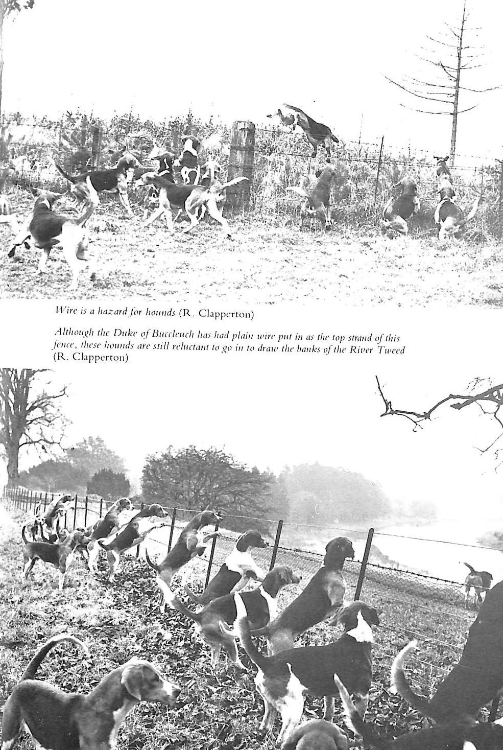 "Fox-Hunting" 1980 The Duke of Beaufort