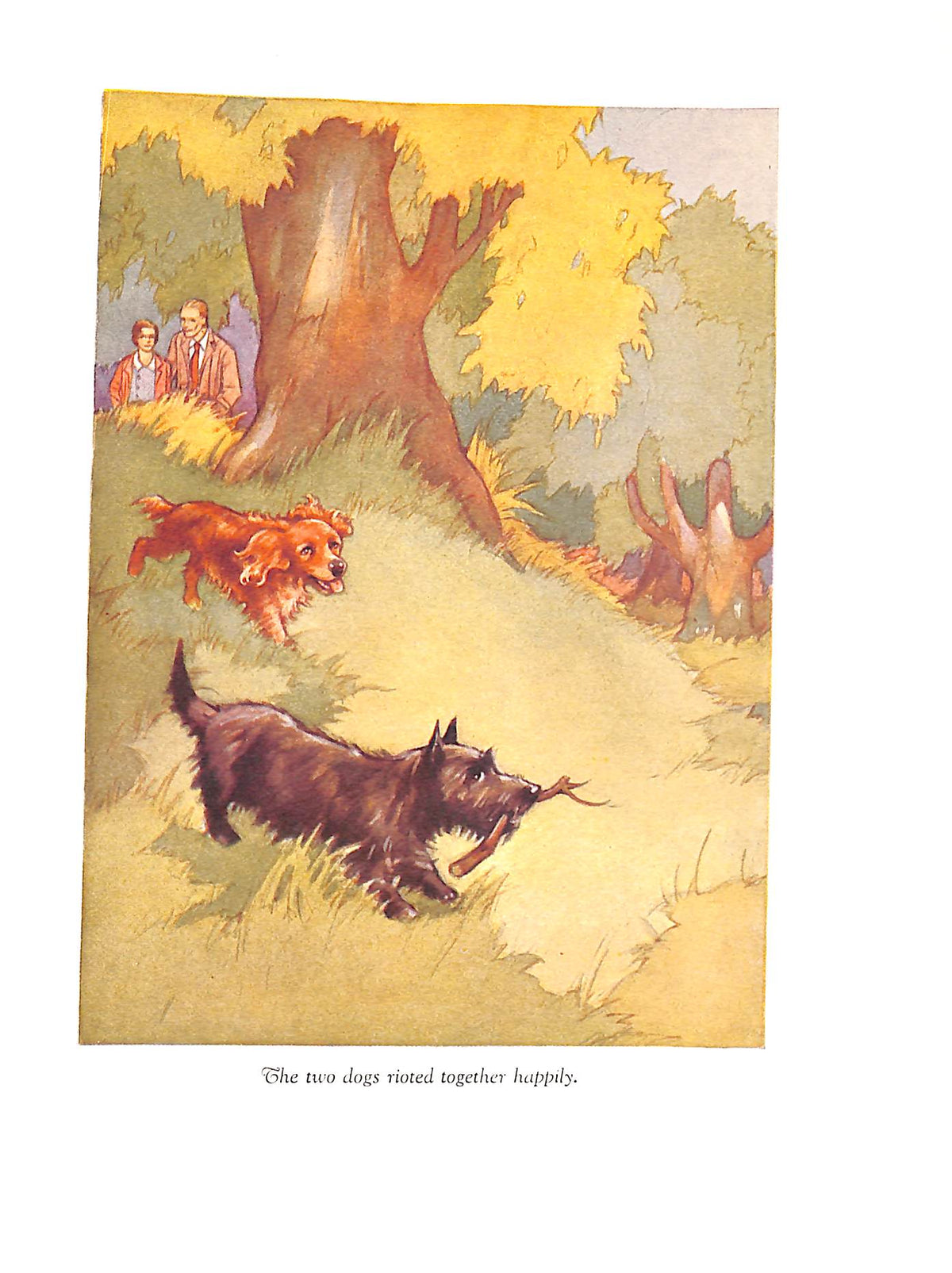 "Jock The Scot" 1930 ROSMAN, Alice Grant