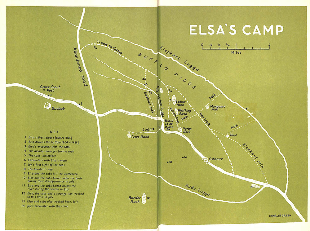 "Living Free: The Story Of Elsa And Her Cubs" 1961 ADAMSON, Joy