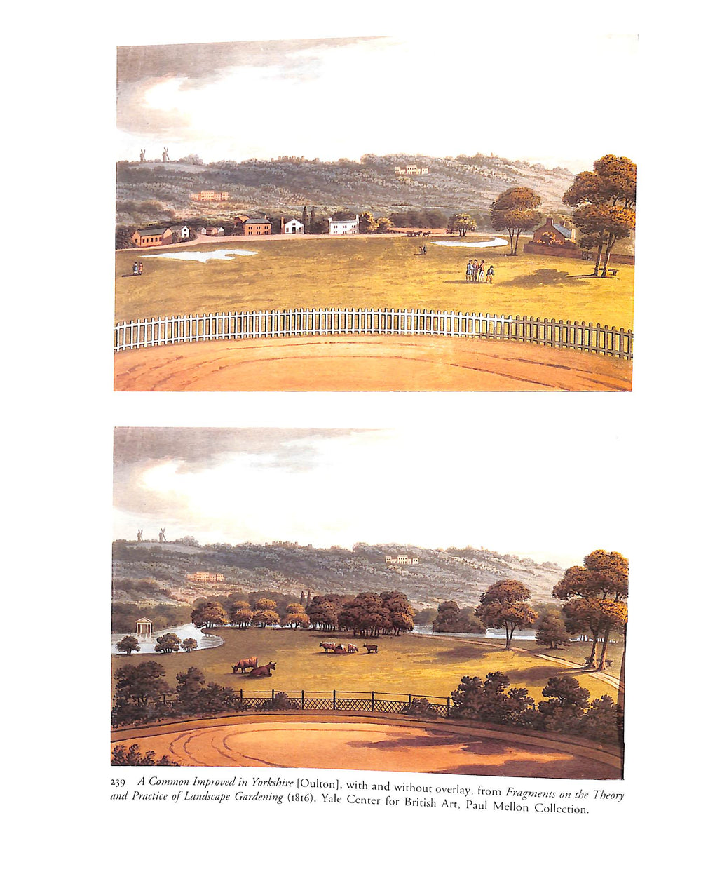 "Humphry Repton: Landscape Gardening And The Geography Of Georgian Eng