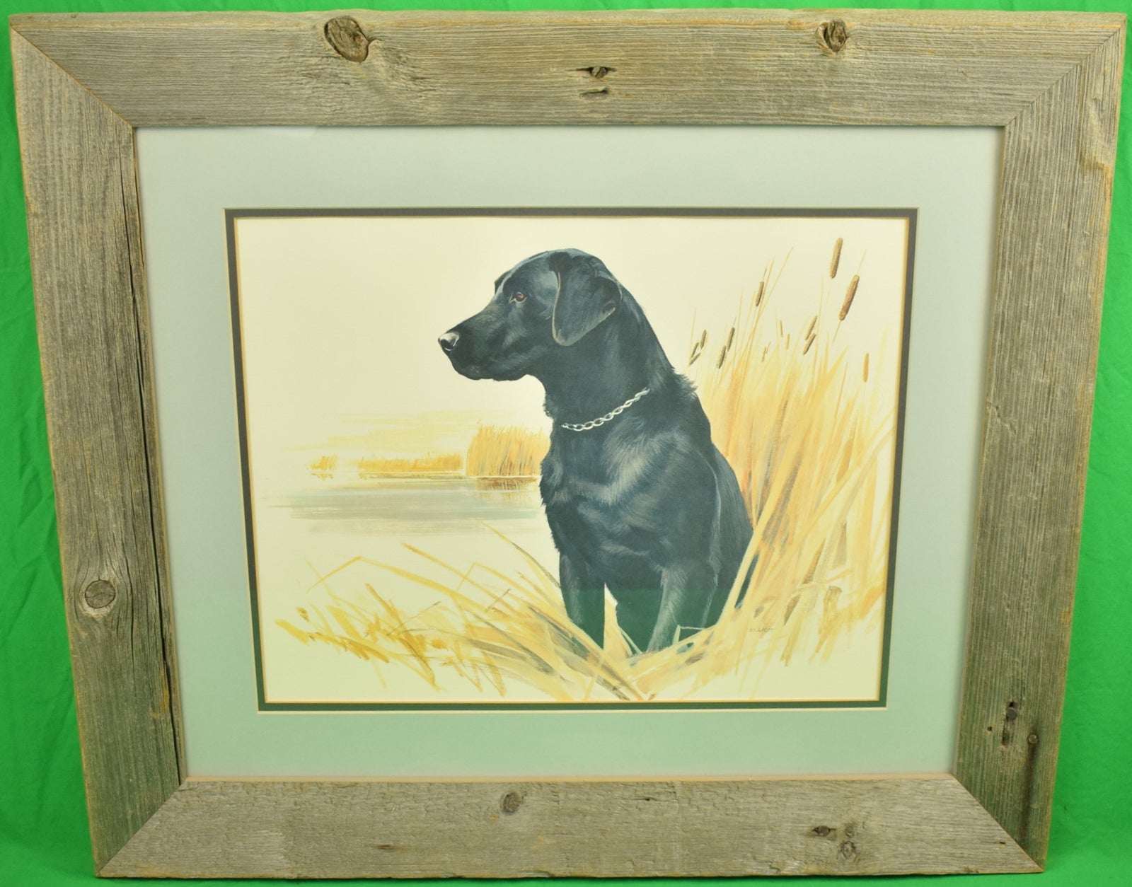 "Black Lab" by Elliott
