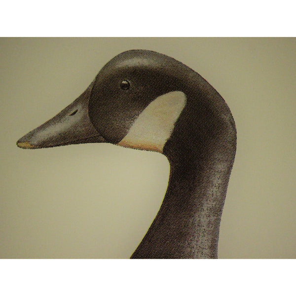 "Duck Decoy Mirror"