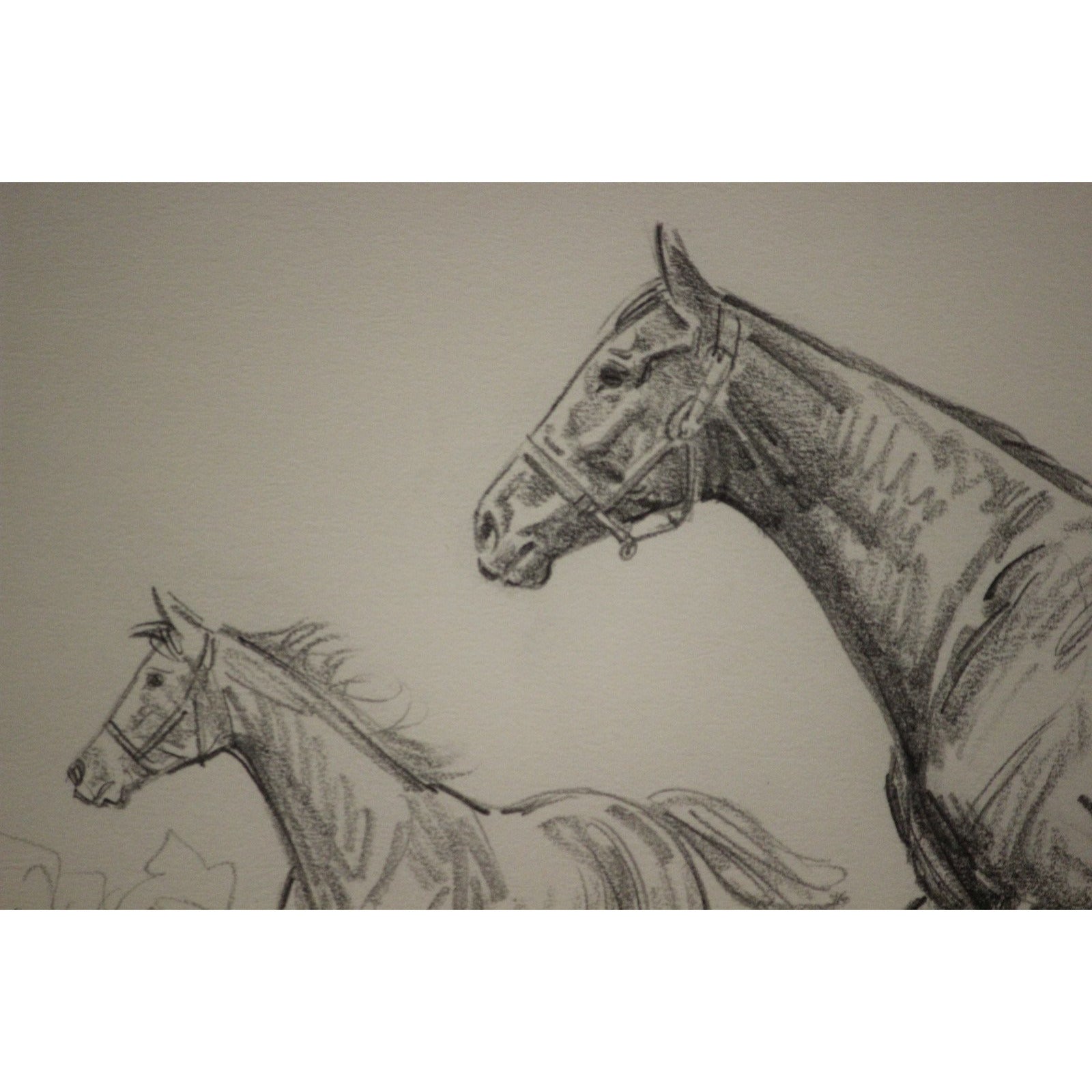"Chieftan-Colt Pencil Drawing By Sam Savitt" (1917-2000) (SOLD)
