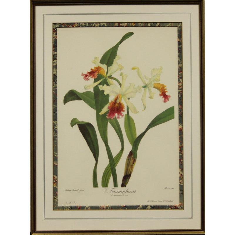 The Cary Collection: Floral Still Life