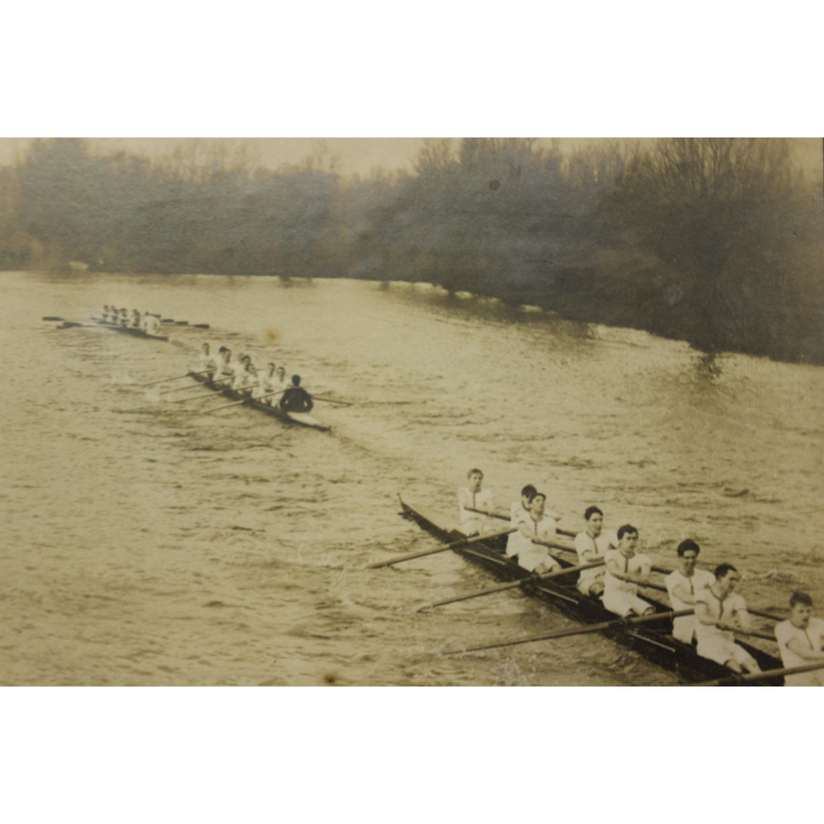 The Henley Regatta (SOLD)