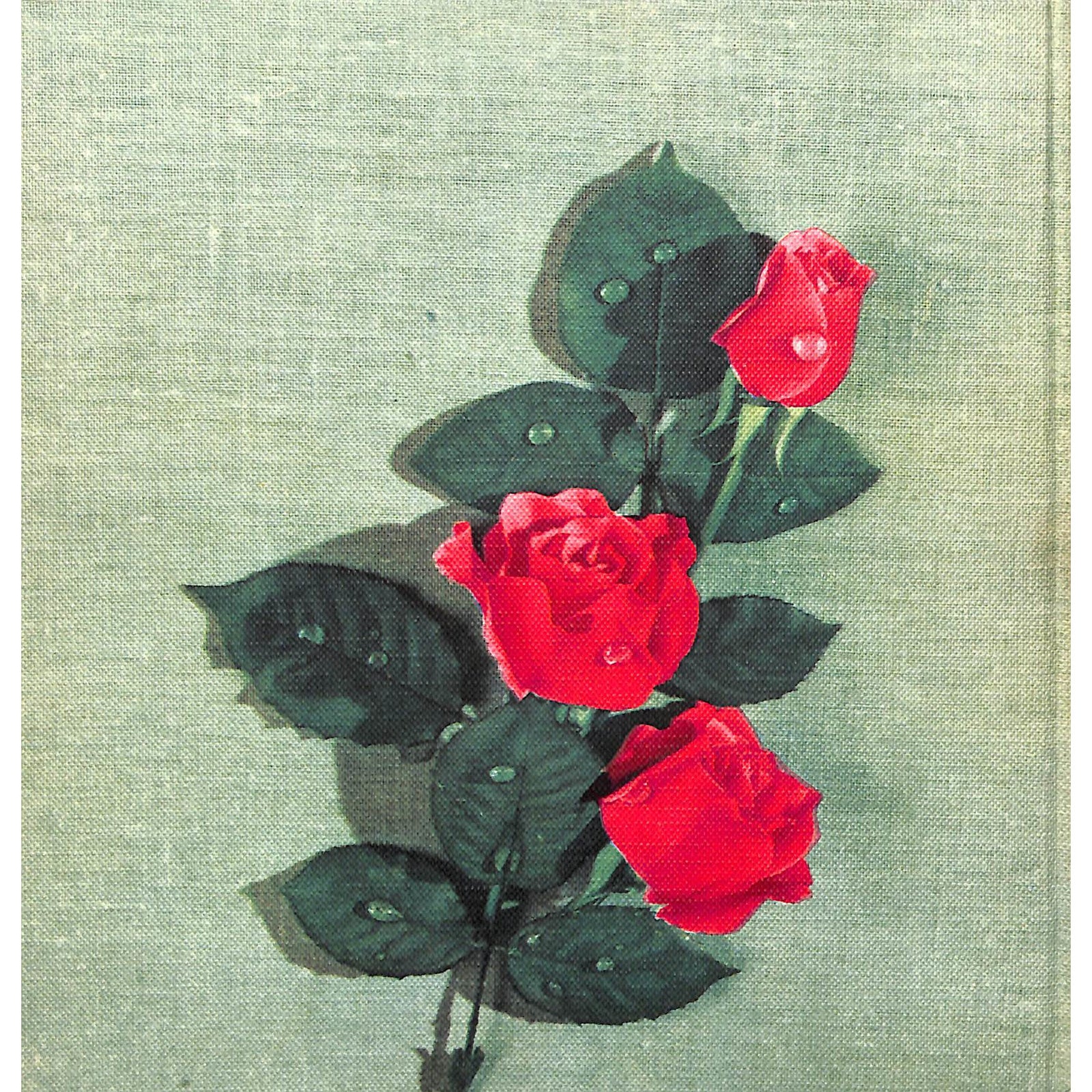 "Roses: Pleasures and Treasures" 1962 COATS, Peter (SOLD)
