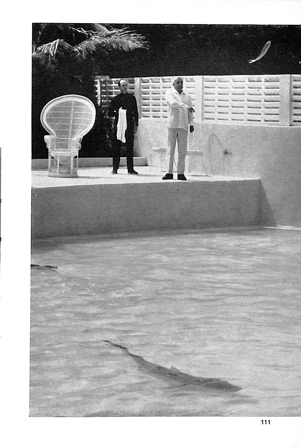 "New Cinema In Britain" 1969 MANVELL, Roger