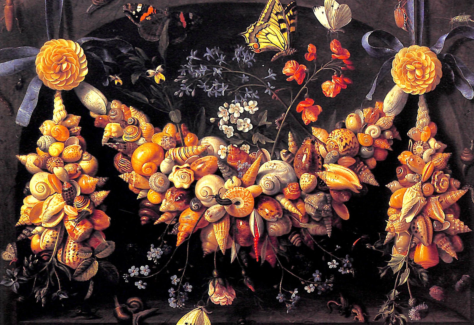 "The Shell: A World Of Decoration & Ornament" 2007 THOMAS, Ingrid