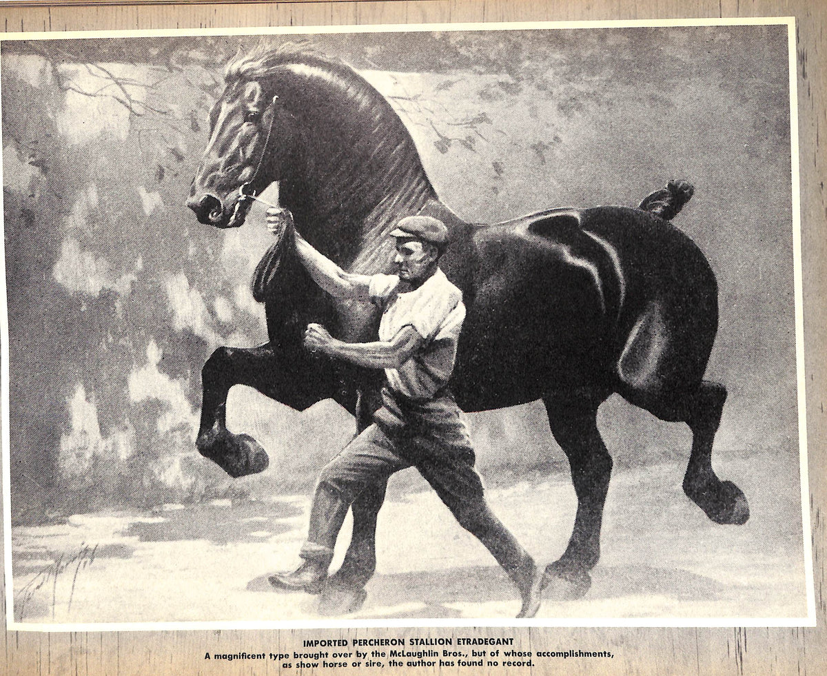 "Portraitures Of Horses" 1952 MORRIS, George Ford (SOLD)