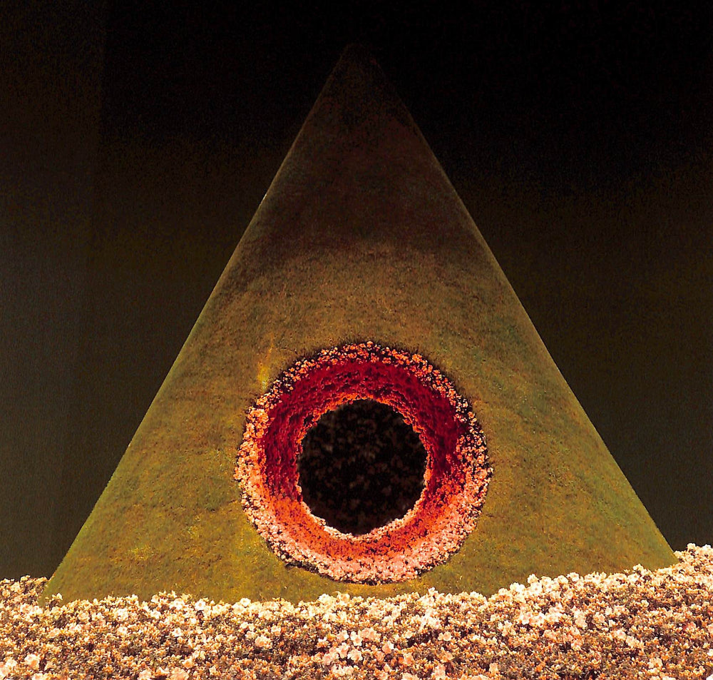 "Daniel Ost Invitations II" 2009 OST, Daniel