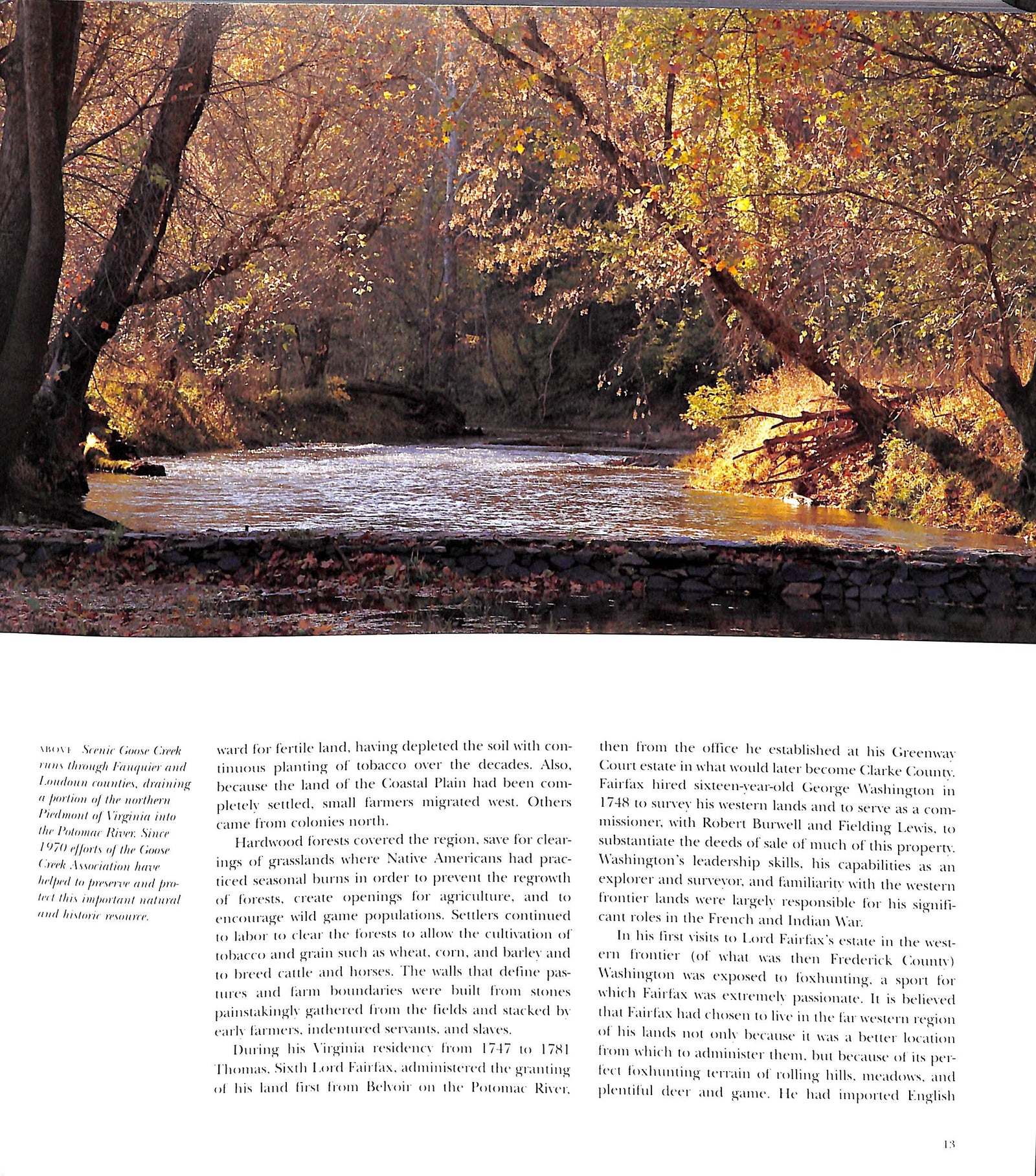 "Hunt Country Style" 2008 MASSON, Kathryn (SOLD)