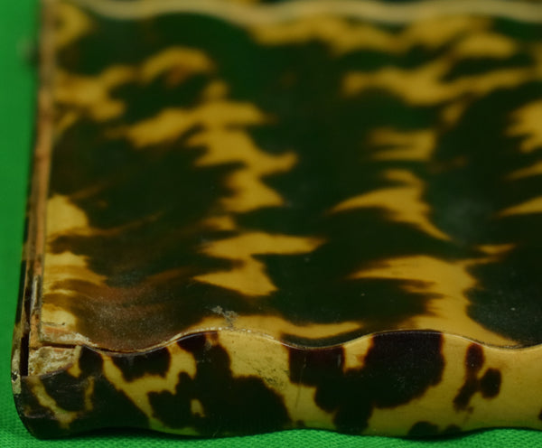 Antique 19thc Tortoise Shell Case